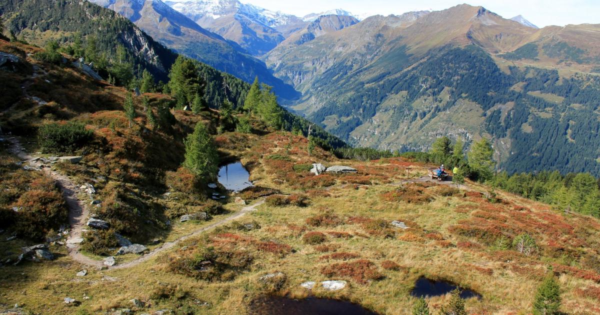 Am Zirbenweg unterwegs | Gastein Moments